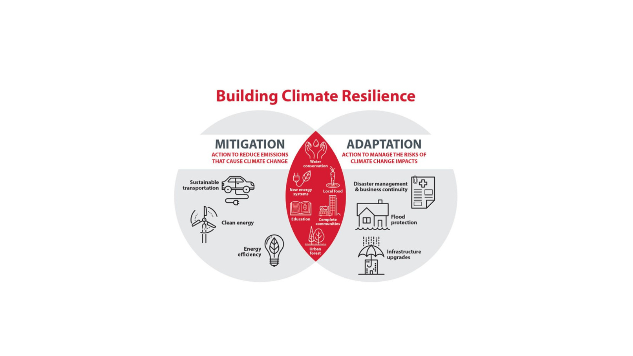 Climate Resilience and Adaptation - Ziara Walter Akari